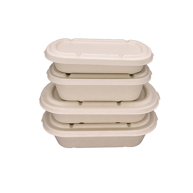 Biodegradable Bagasse Food Container from China Manufacturer & Supplier ...