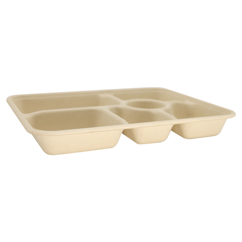 Wholesale Eco-Friendly Sugarcane Fiber Disposable Tray with 6 ...