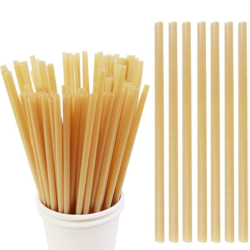Wholesale Plant-based Biodegradable Sugarcane Bagasse Fiber Straw from ...